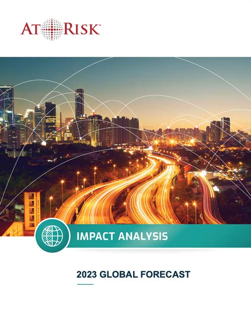 Protection, Security & Investigation Resources | AT-RISK International